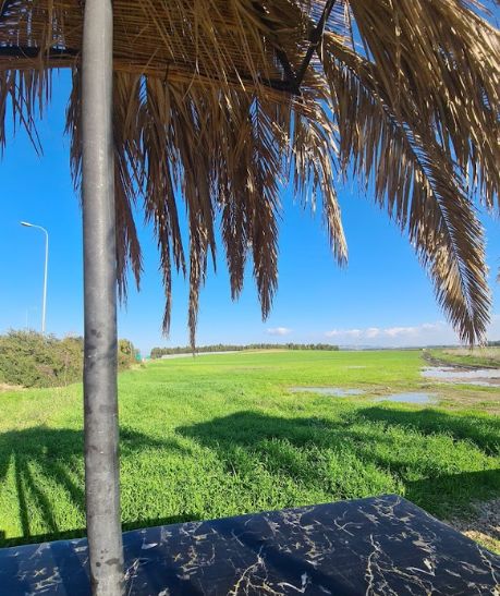 About me&the blog ️ Hadara Travel