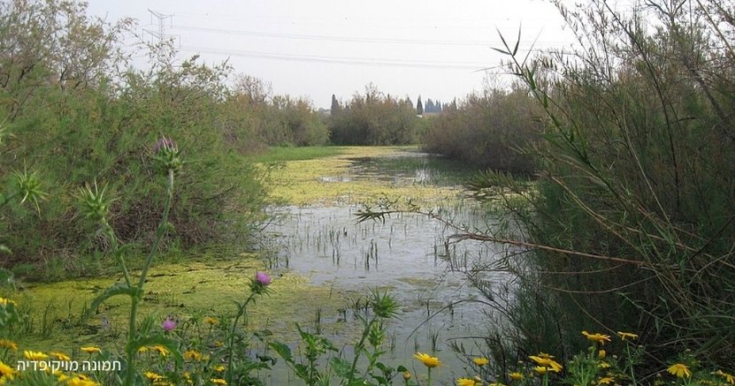 THE 5 BEST Things to Do in the Hadera area