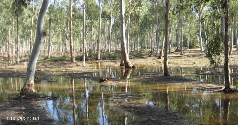 THE 5 BEST Things to Do in the Hadera area