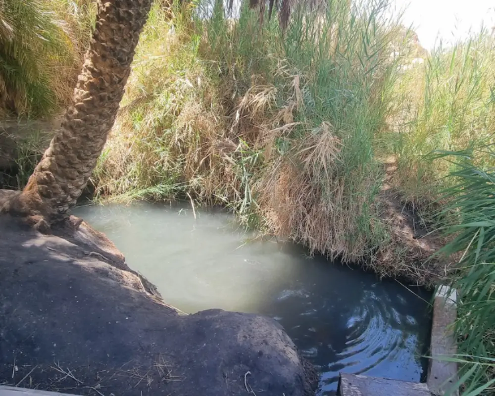 THE 5 BEST Things to Do in the Hadera area